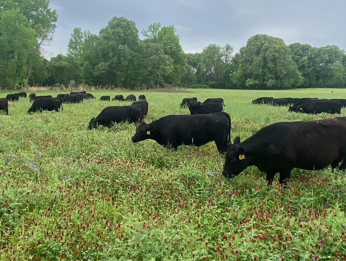 Help Us Change the Misleading "Product of USA" label policy for Import ...