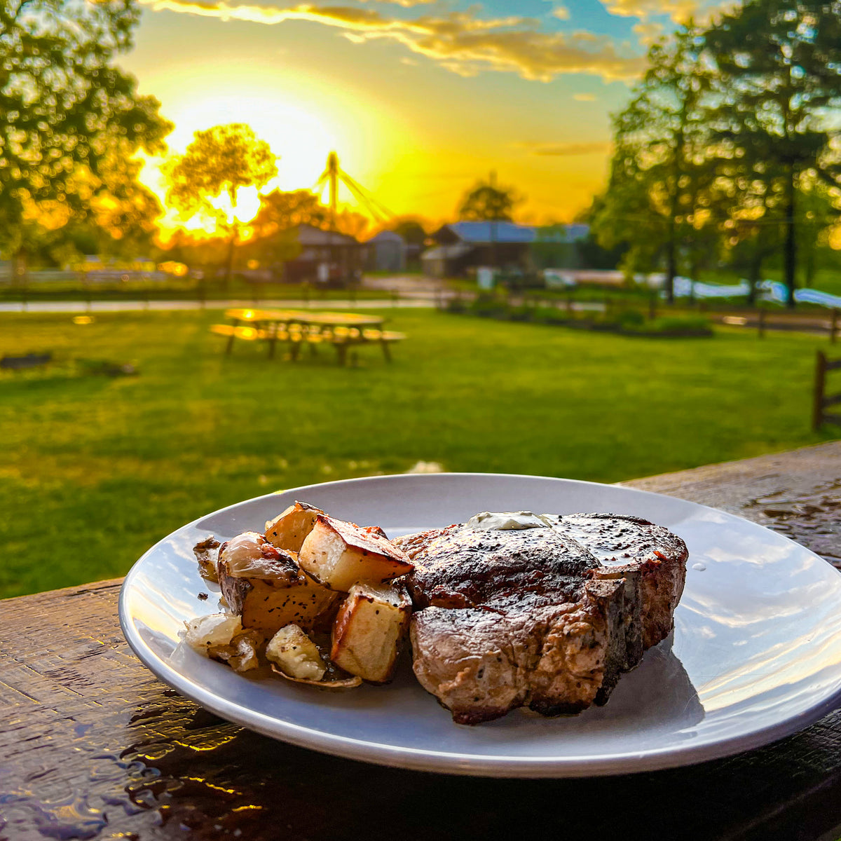 Why Subscribe? – Home Place Pastures